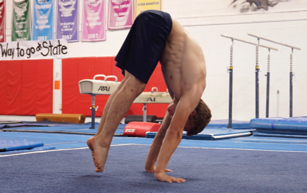Online Fitness Courses - GymnasticBodies