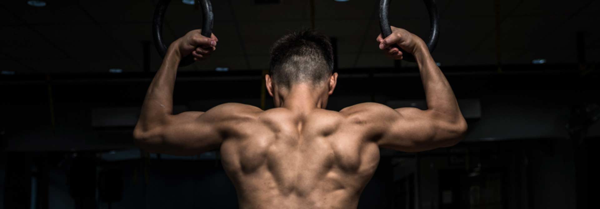 Gymnasticbodies