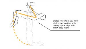 Gymnasticbodies